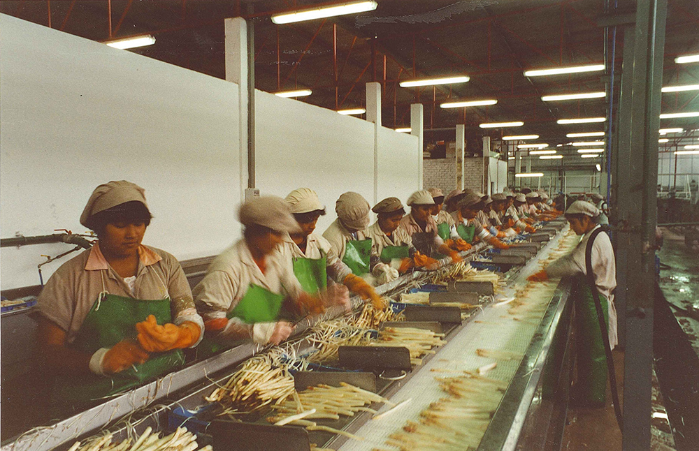 Sector Transformados Vegetales – Proyectos Navarra